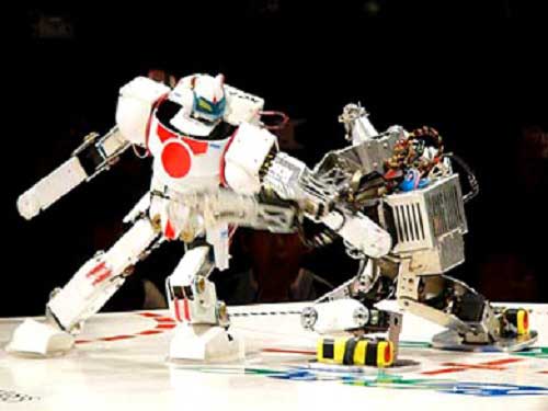 Bizarre Japanese Fighting Robots - Zovina