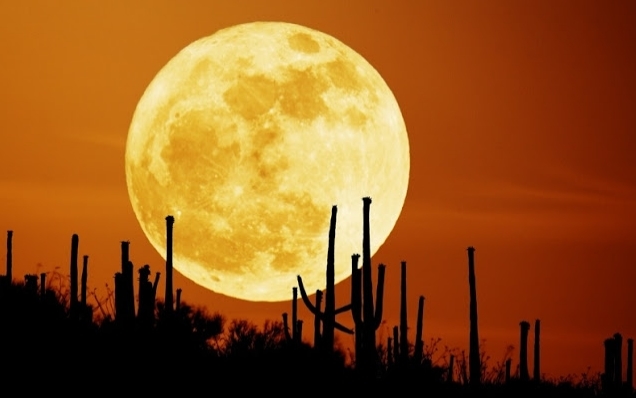 Other Moon names : Spirit Moon, Snow Moon, Shedding Moon, Winterfelleth ...