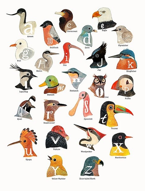 Seduced by the New...: Alphabirds