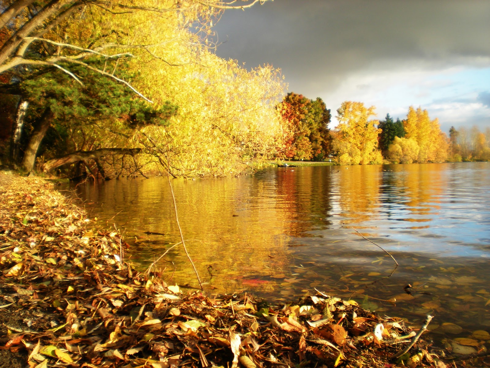 Adventures of a TwentySomething: Greenlake in the Fall.