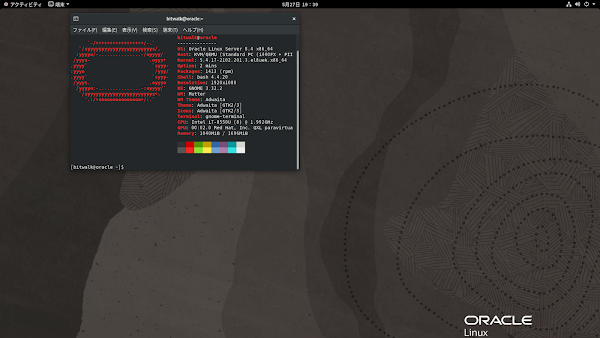 Bitwalk S 2021 05