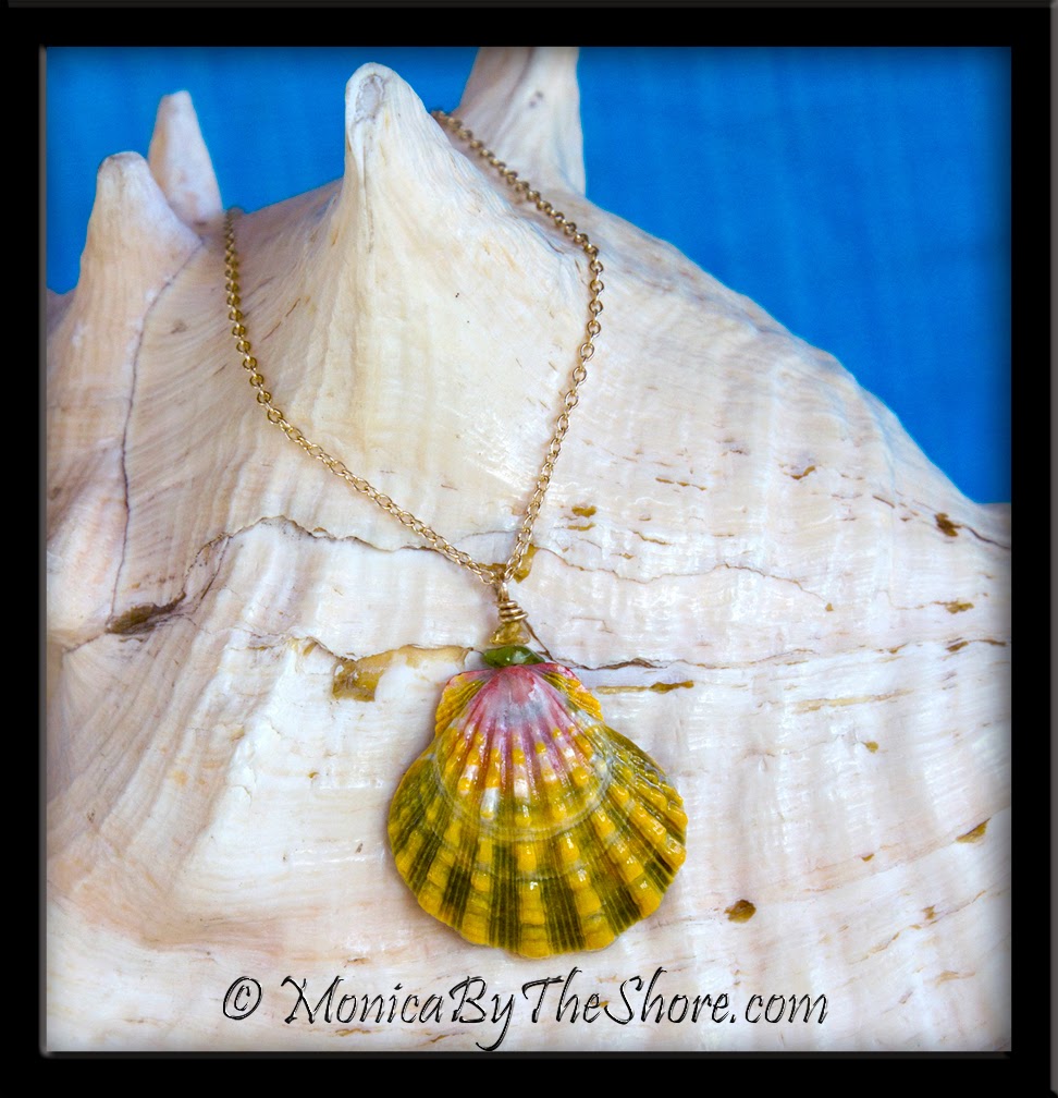 Monica's Blog: Tis the Season for Christmas Sunrise Shells!!!