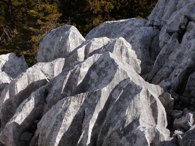 CIVIL ENGINEERING BLOG: BM