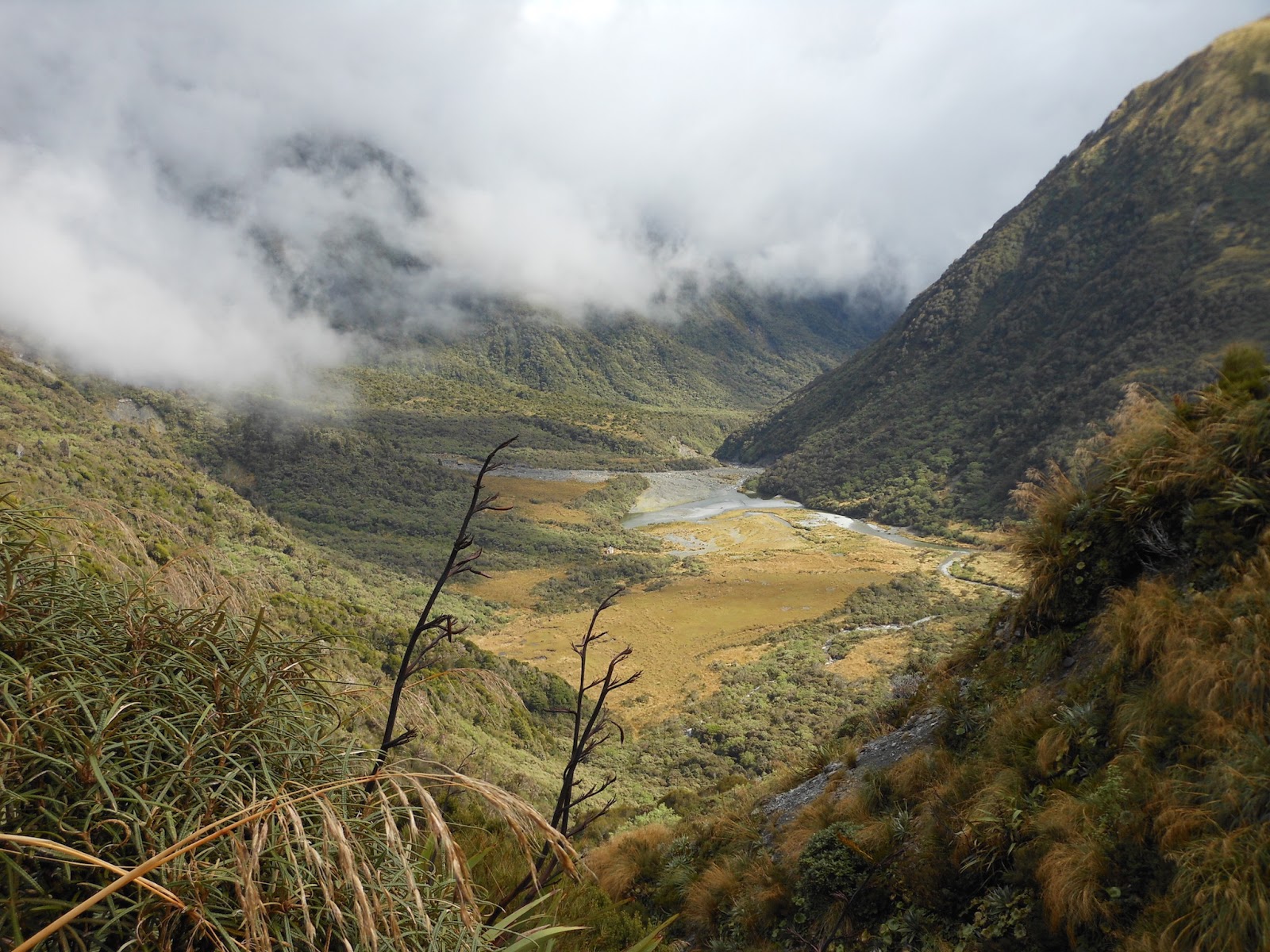 Tramping: Toaroha, Hokitika, Lower Whitcombe Track and Sir Robert Hut