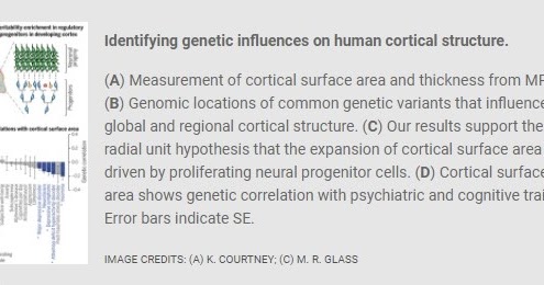 Biología Molecular para tercer semestre de Medicina.UCE: Primer mapa ...