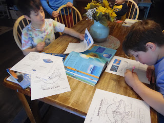 My Full Heart: Five in a Row - Night of the Moonjellies & Homeschool ...