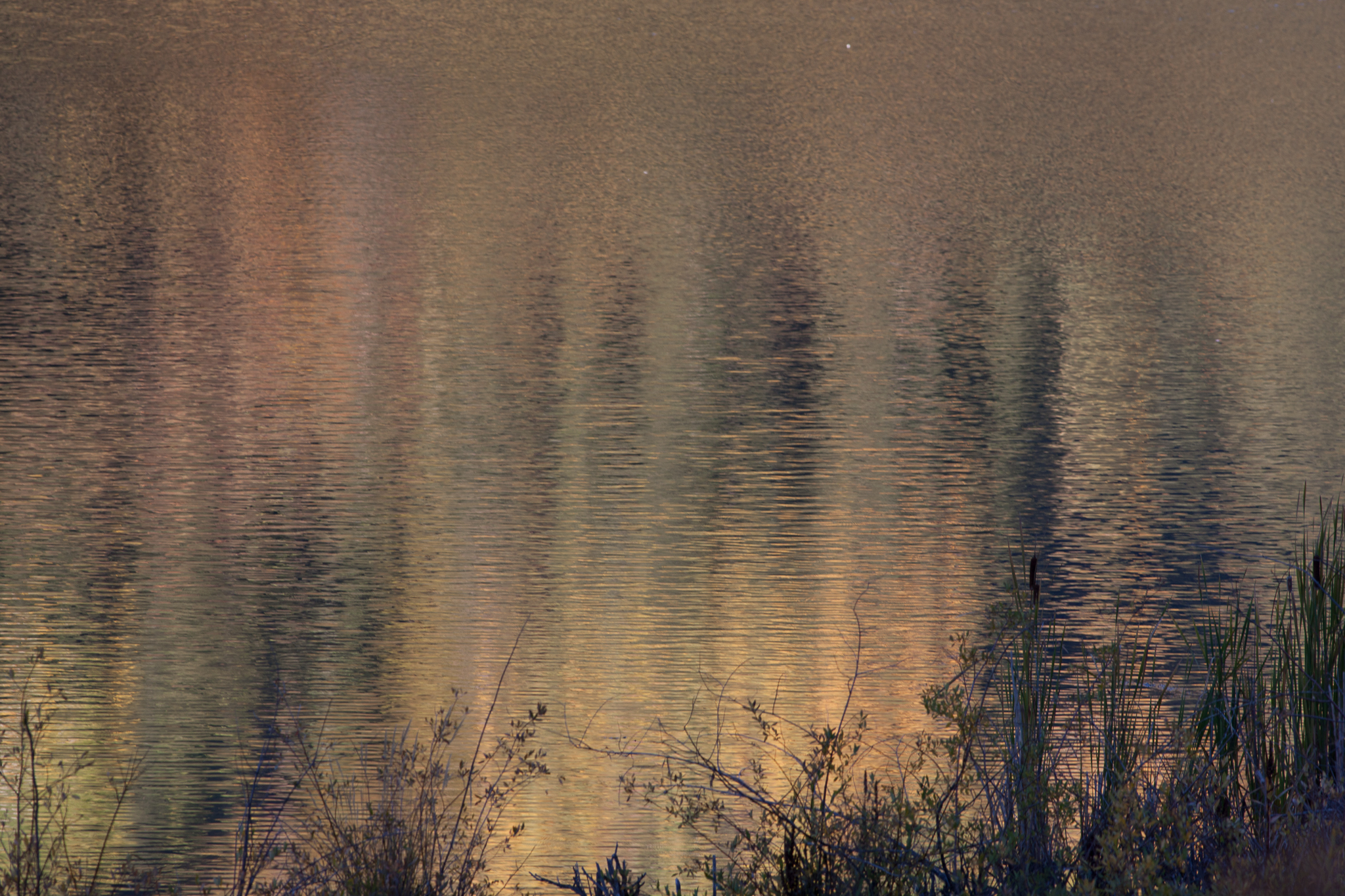 Suzanne Mathia Photography