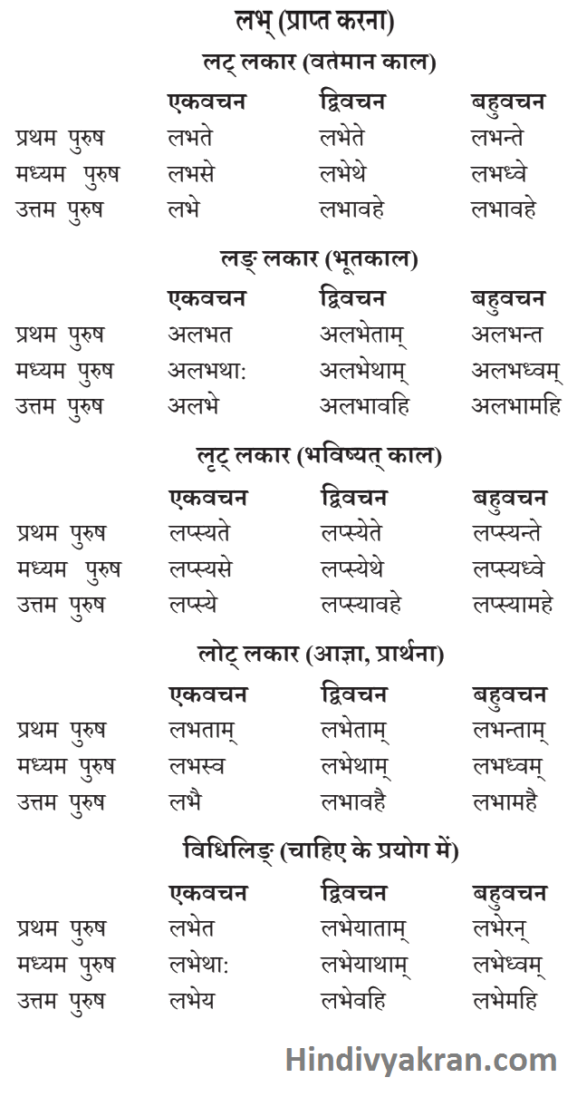लभ् धातु के रूप संस्कृत में – Labh Dhatu Roop In Sanskrit | HindiVyakran