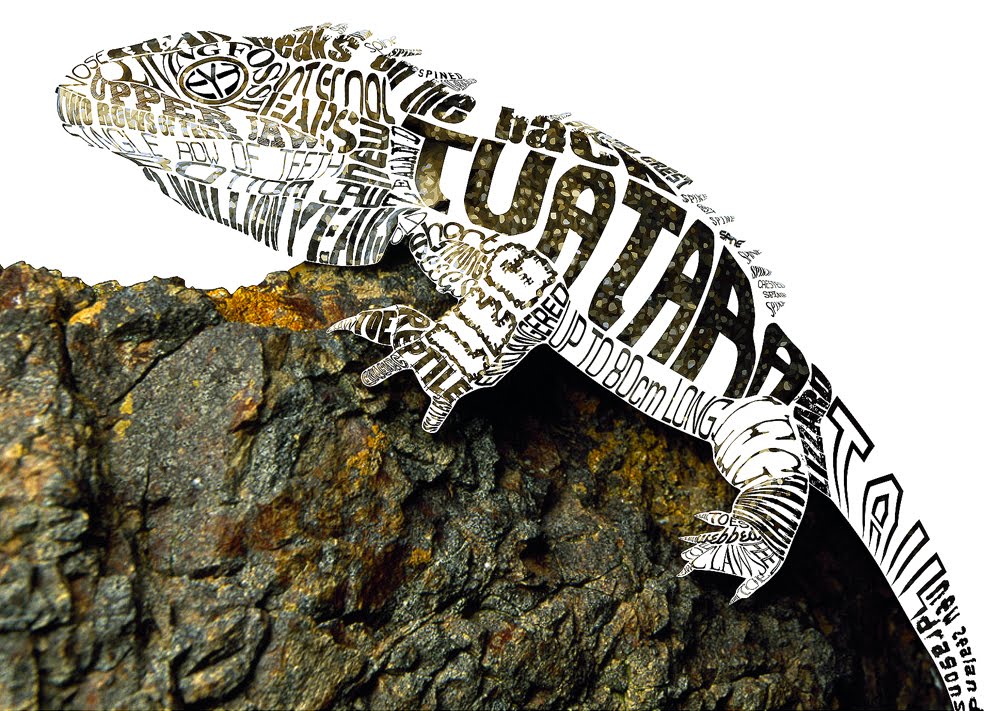 Que tipos!: Tipograma