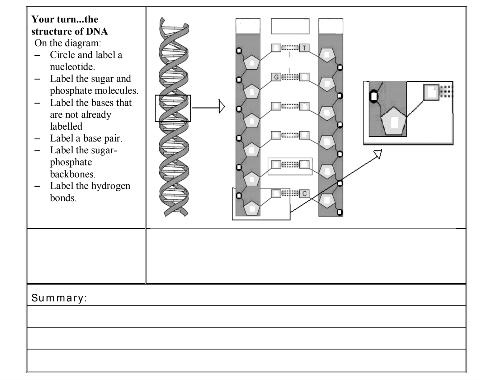 science 10 gladstone: discovery of DNA, assignments 3 and 4 for biology