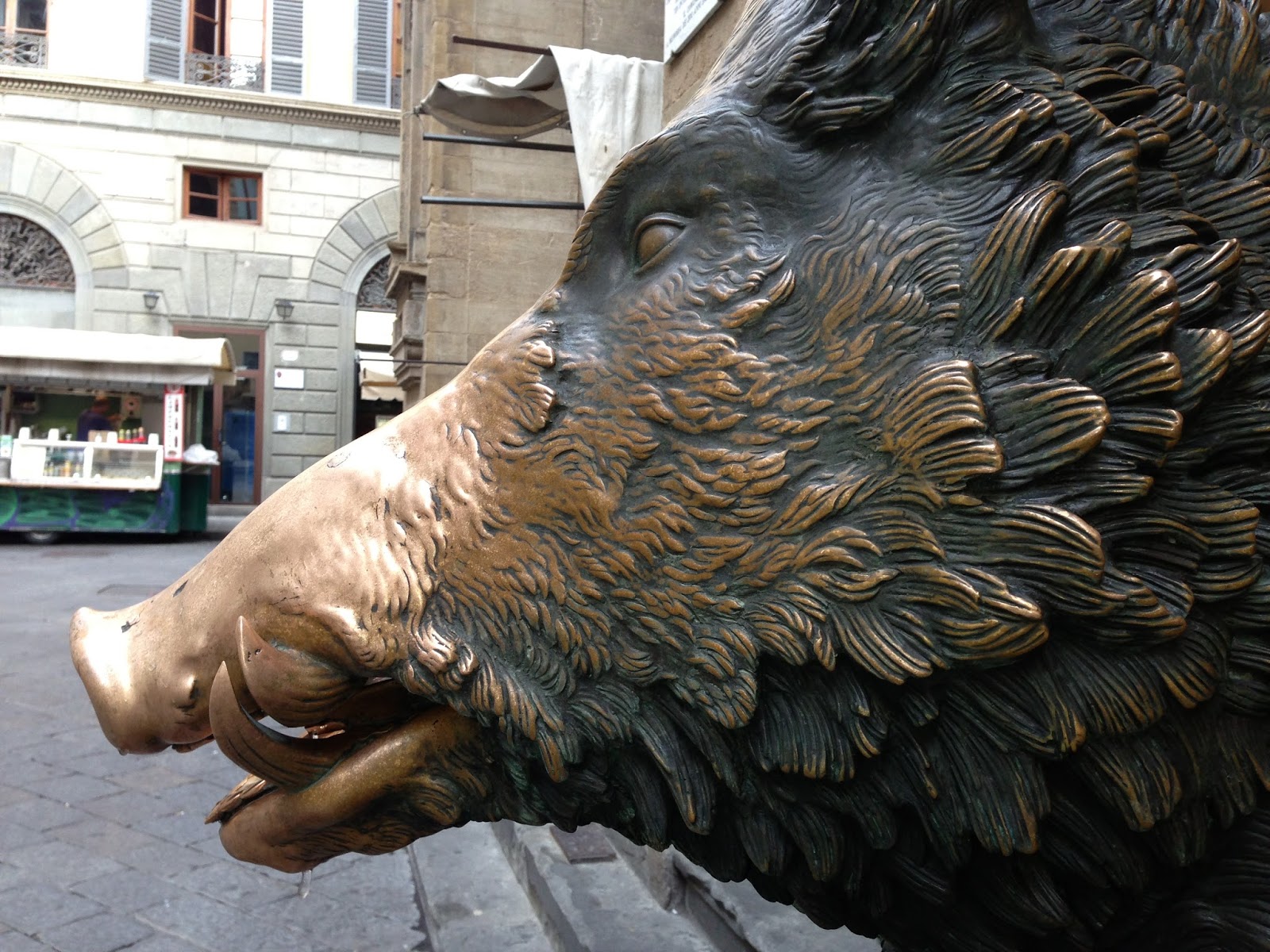 Good 4 U Gastronomy: Cinghiale: Wild Tuscan Boar