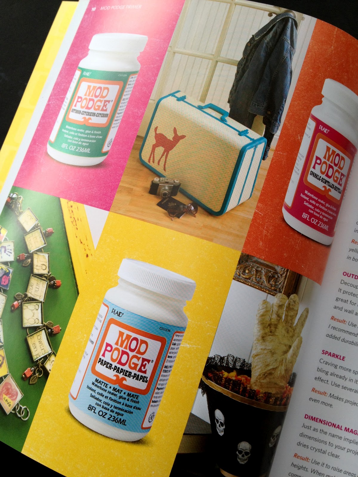 GIVEAWAY ~ Win a Copy of Mod Podge Rocks! PLUS a Loaded Mod Podge ...