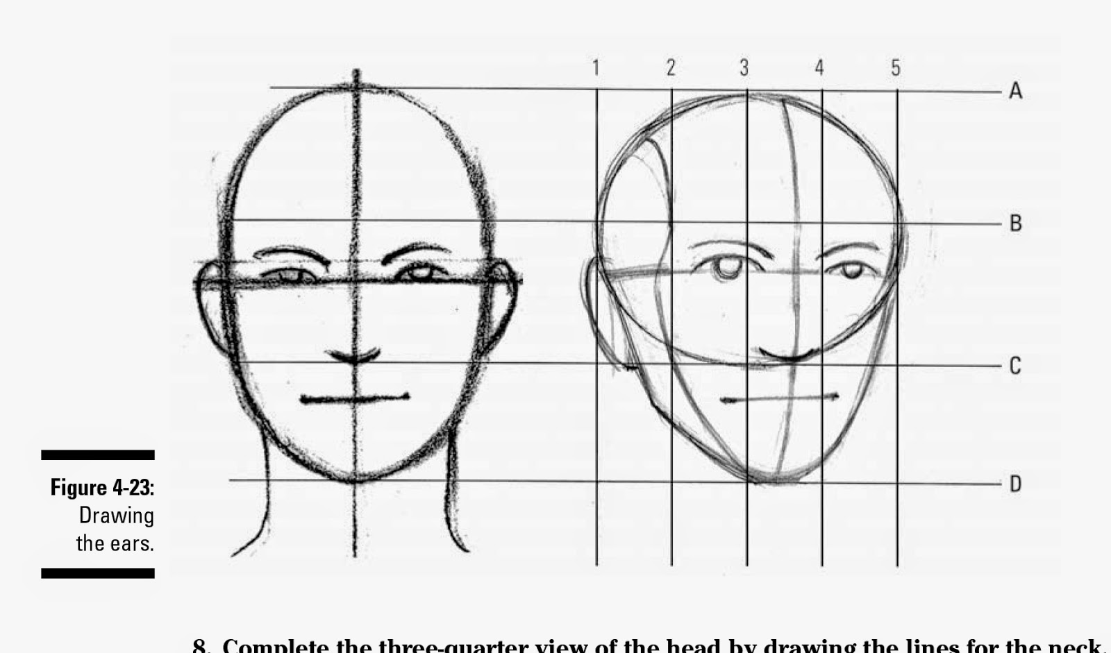 Drawings: Parts of the Head