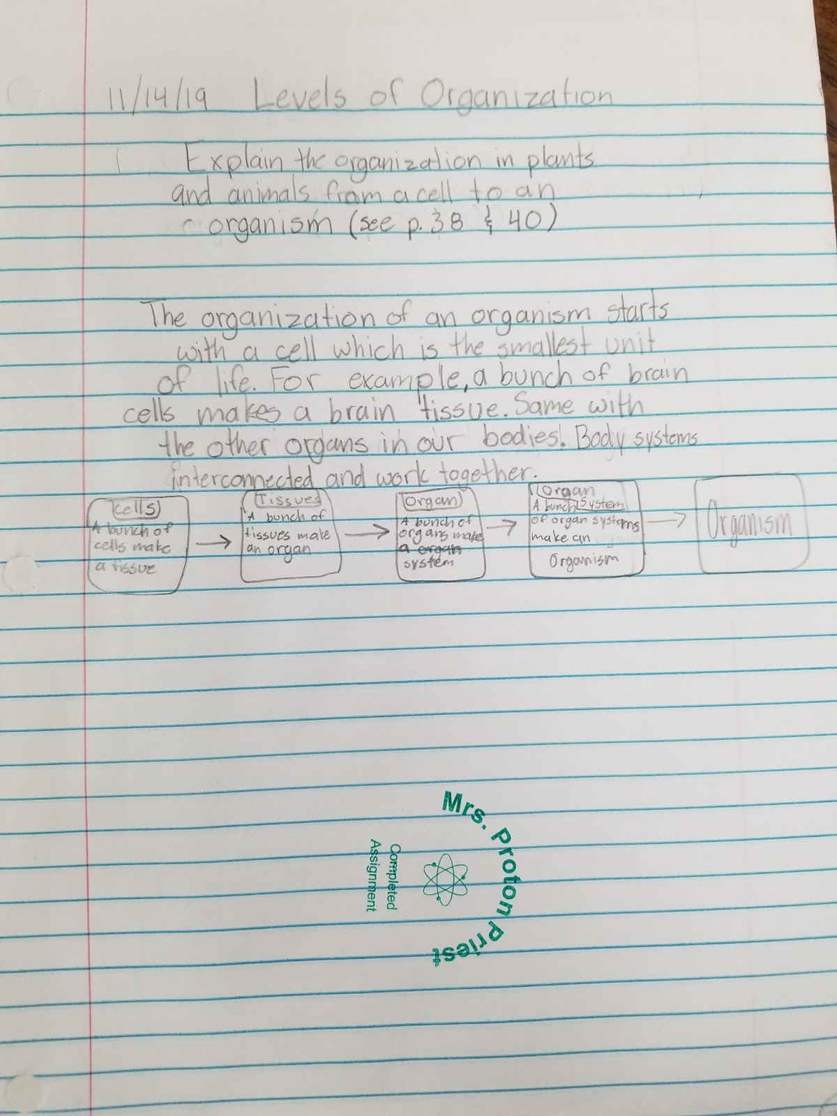 Student Output Samples from the Middle School Science Classroom | Polka ...
