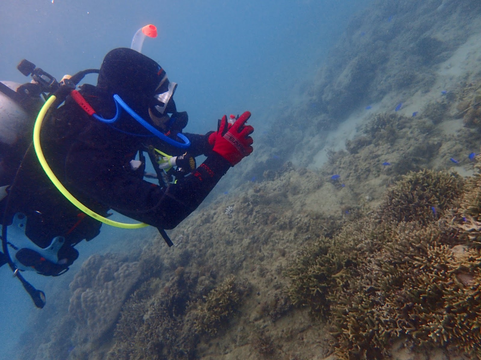 OKINAWA 39ers Dive Log: Mar 10th - Kin Red beach