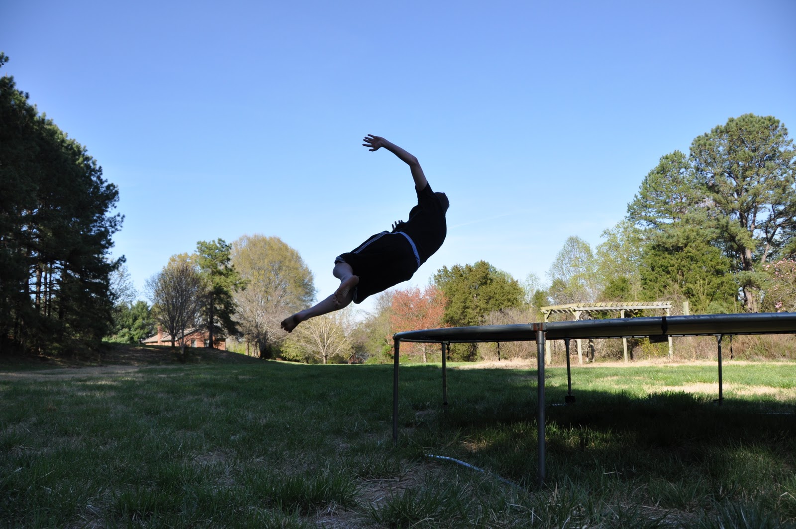 Picture memories: Trampoline fun