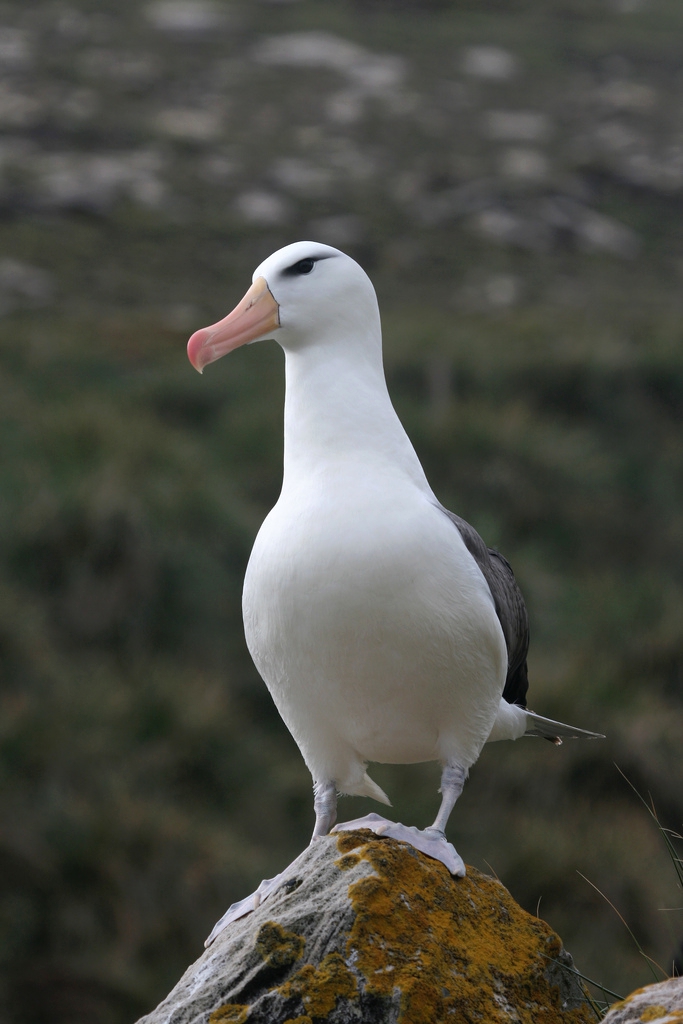 Natureza, Perfeição sem tamanho...