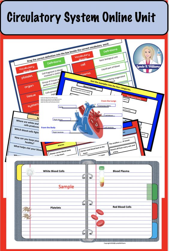 Circulatory System Online Unit NGSS MS-LS1-3 and Utah SEEd 7.3.3 ...