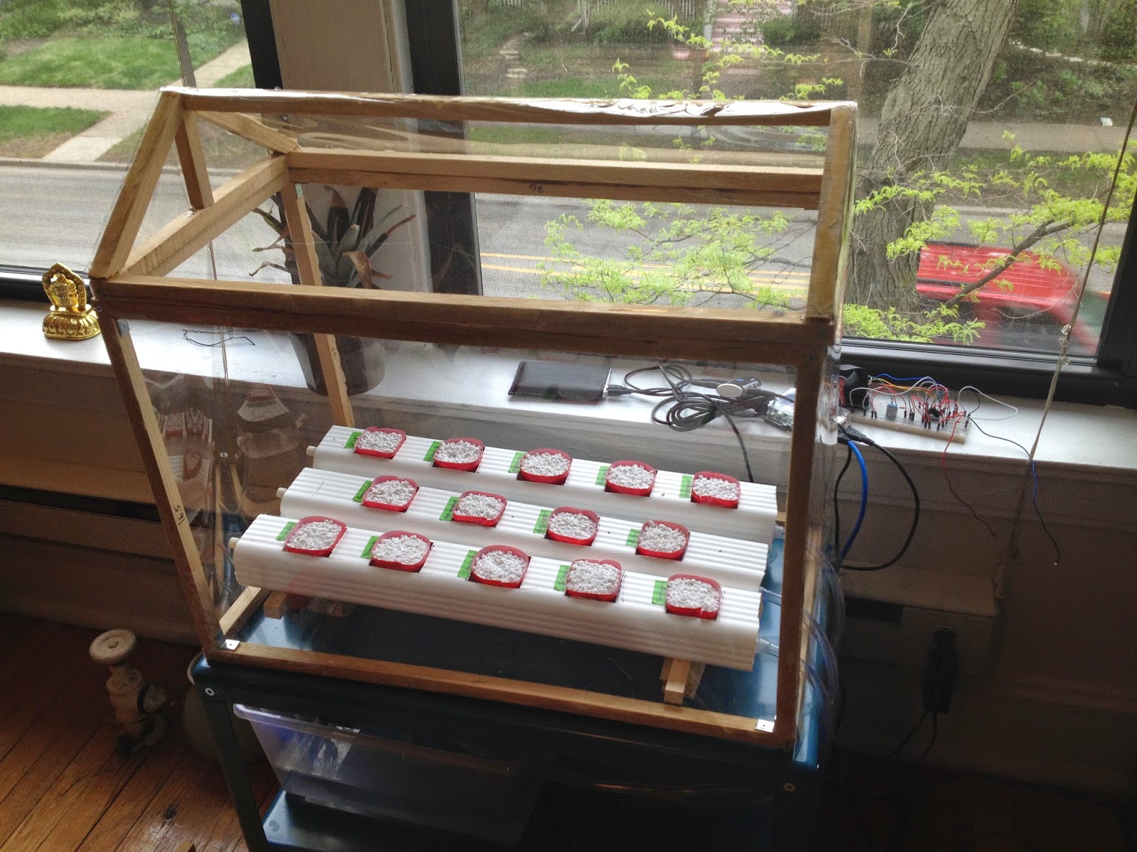 Raspberry Pi Powered Hydroponics: New picture for the Twitter account!