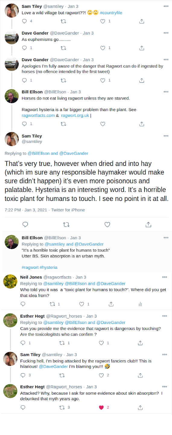 Ragwort hysteria: Sam Tiley's poor thinking and ragwort rubbish!