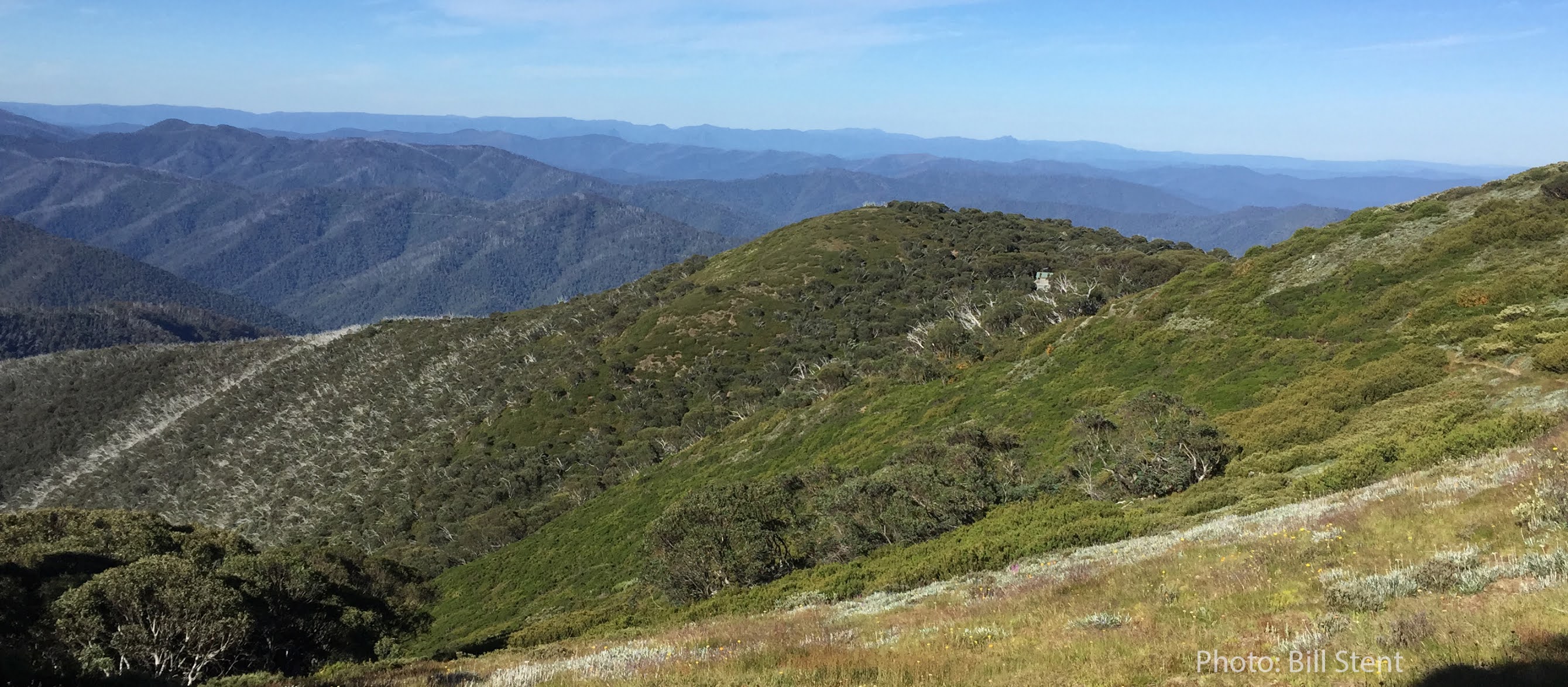 Two days on the Razorback