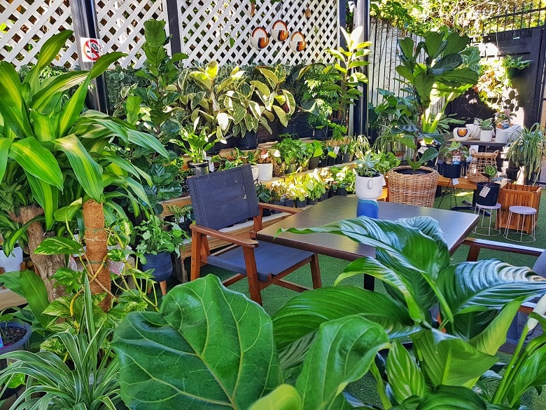 How to Achieve a Relax and ZEN Mind with Plants - For Urban Women ...