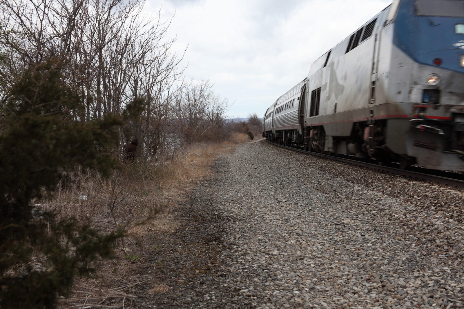 Beacon Bigfoot: Trainspotting