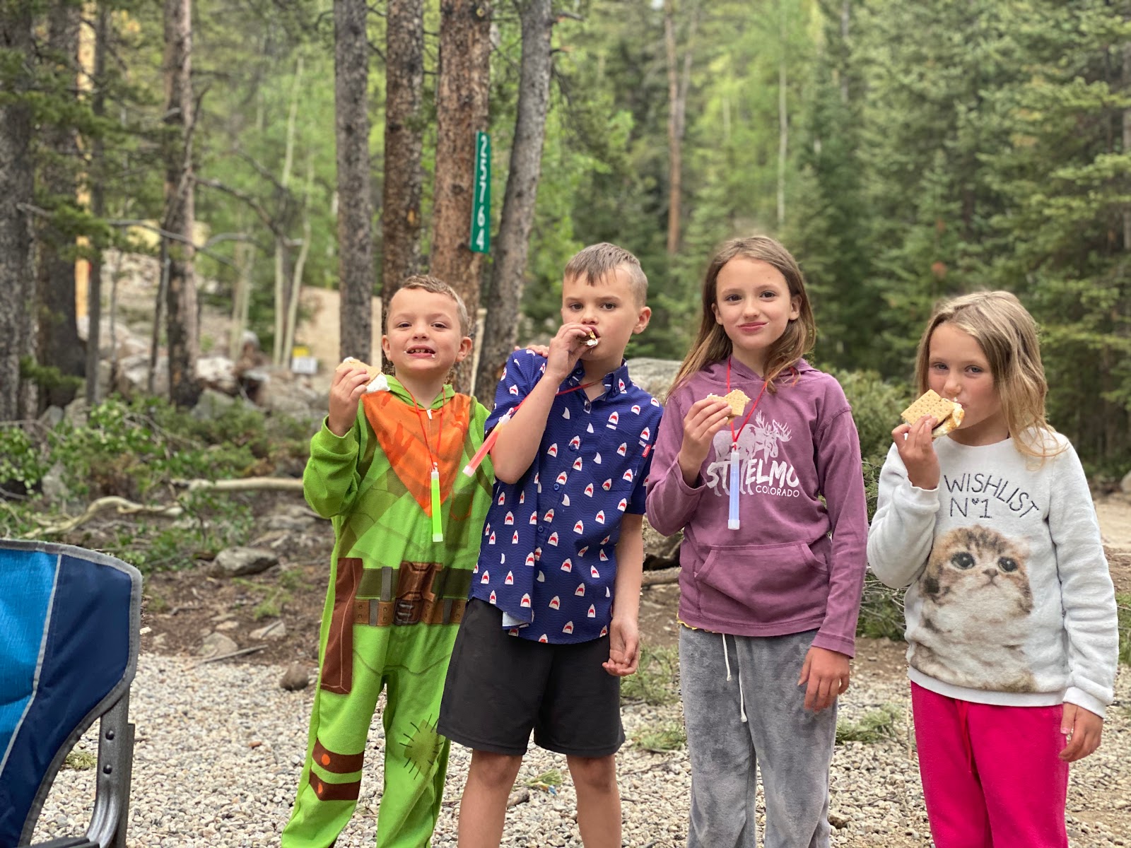 The DeLorme Family: June 2020