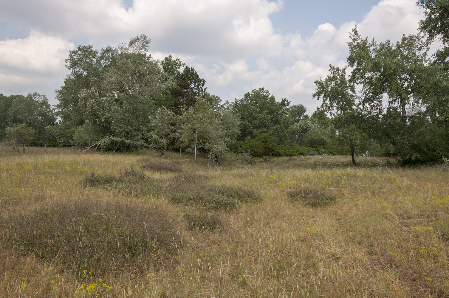 Lengyel Attila kutatói blogja: Terepi felvételezés a Duna-Tisza köze ...