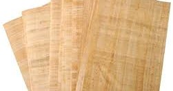 OBJETIVO VICENTINO : glosario