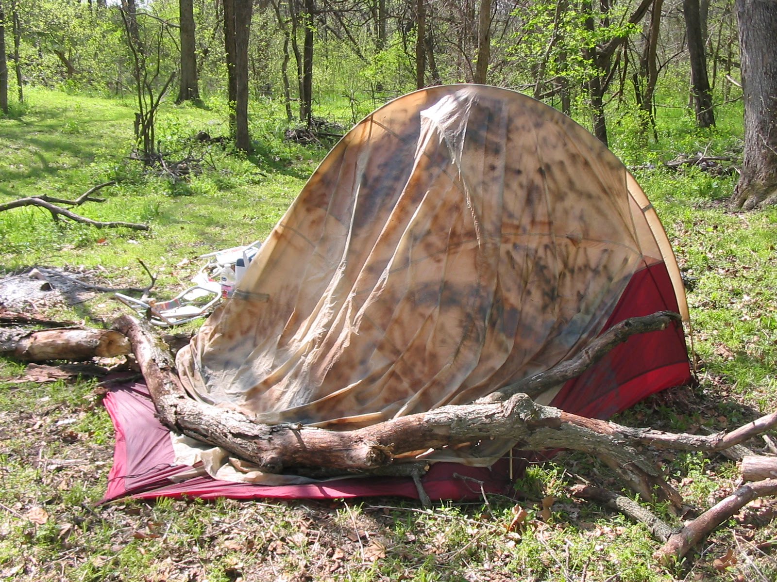 Viking Preparedness: If a tree fell in the woods...?