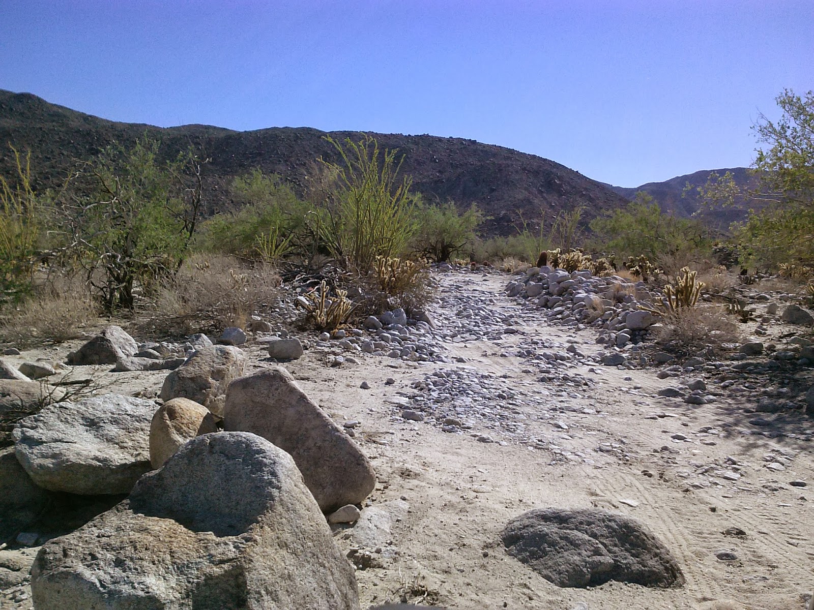 AdventureGraham: ABDSP: Culp Valley, Coyote Canyon, Kane Springs Road ...