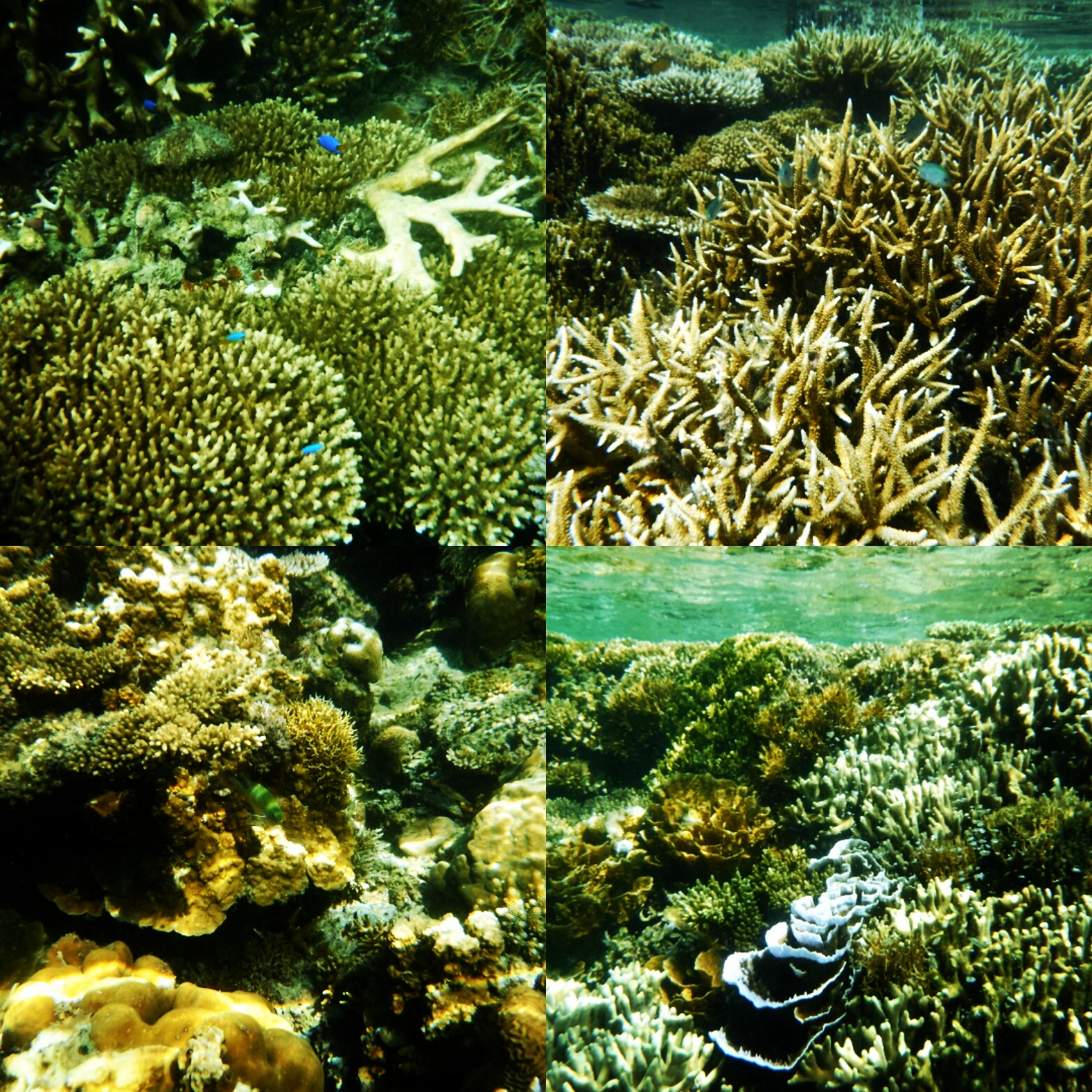 iamerwinsy: Dumaran, Palawan