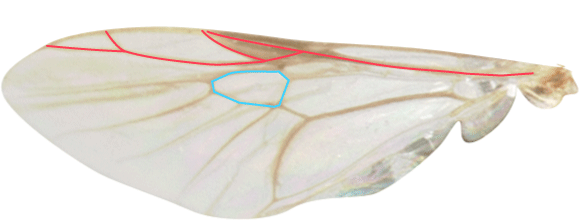 El Blog de Isa y Juan: 06/04/19