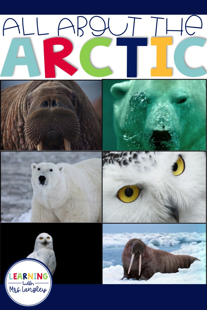 Arctic Research Unit | Learning with Mrs. Langley