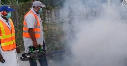 Factors that affect Fumigation for the control of Store insects and ...