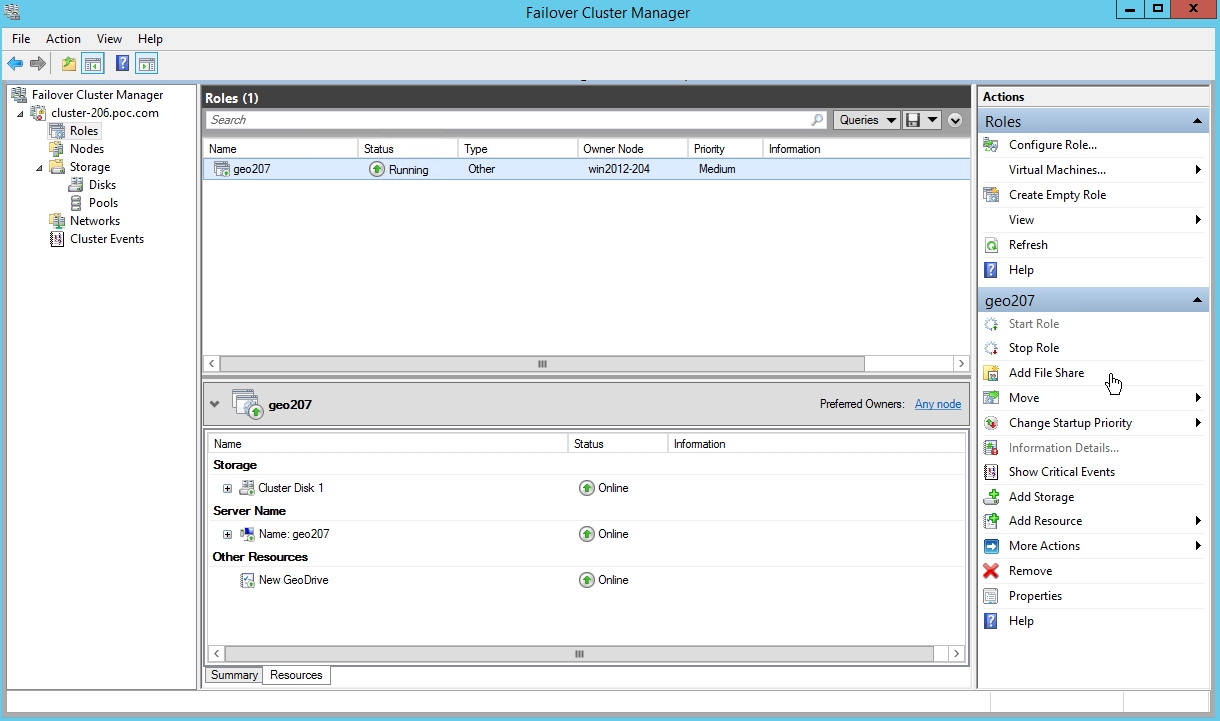ECS GeoDrive with Windows Cluster