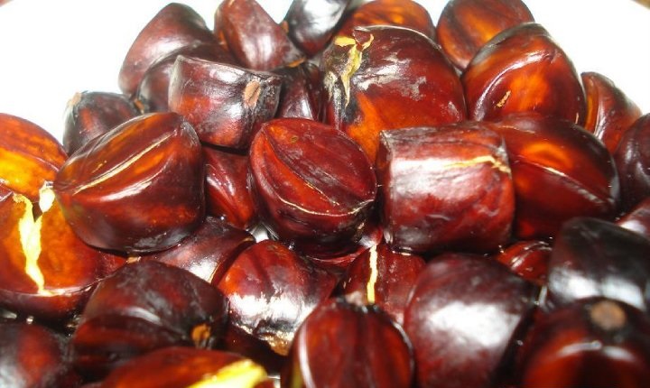 INFO KHASIAT DAN KEBAIKAN BUAH KERDAS | AKU ANAK PAHANG