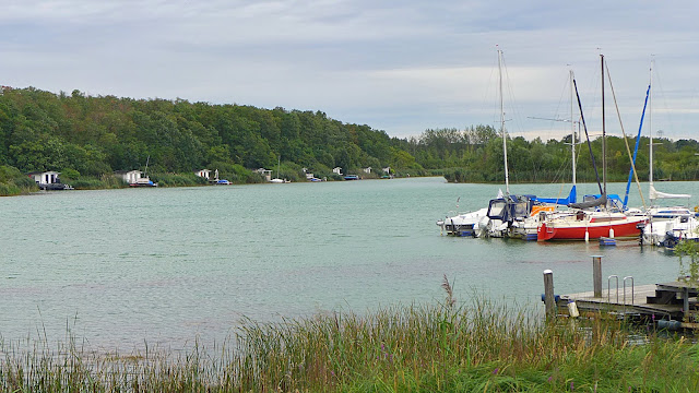 Namida Magazin: Leipziger Neuseenland Teil 4: Der Hainer See und das ...