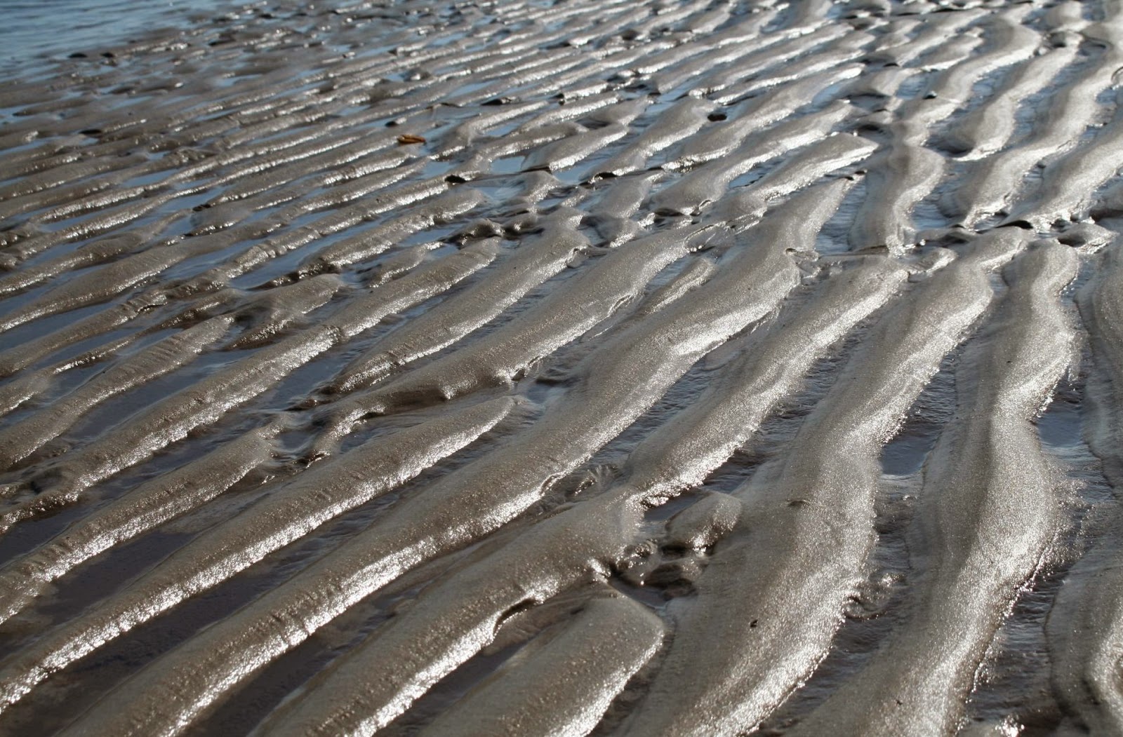 Geography of the Okavango Delta: Fluvial Landscapes
