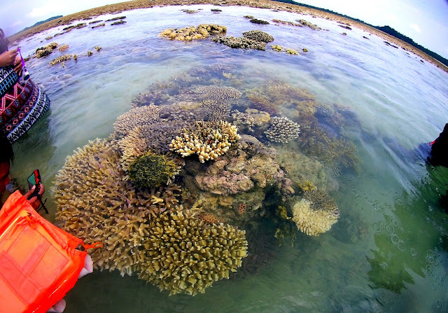 Smart Backpacker: Get Lost in Polillo Islands