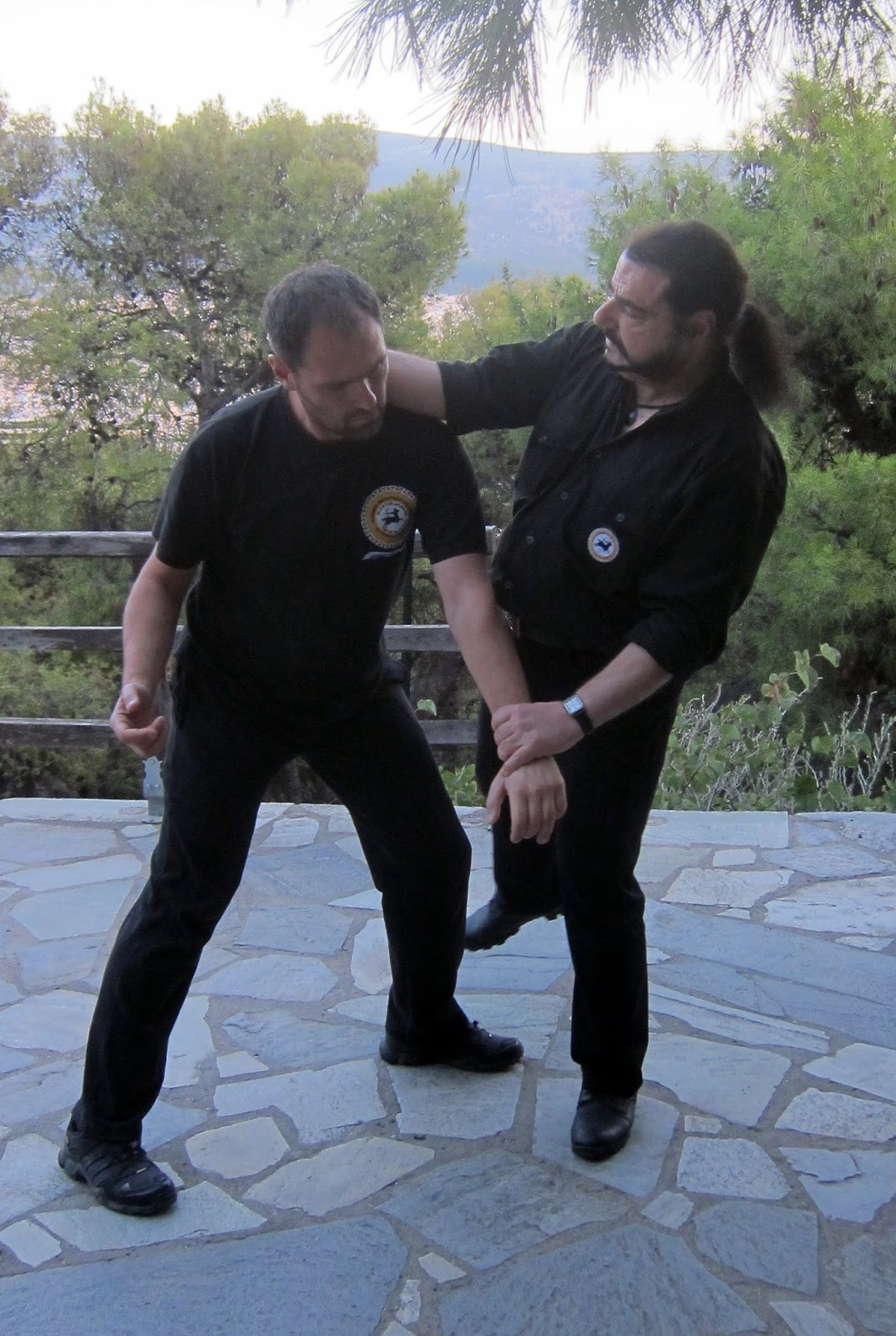 ΕΛΛΗΝΙΚΗ ΕΦΙΠΠΗ ΤΟΞΟΒΟΛΙΑ