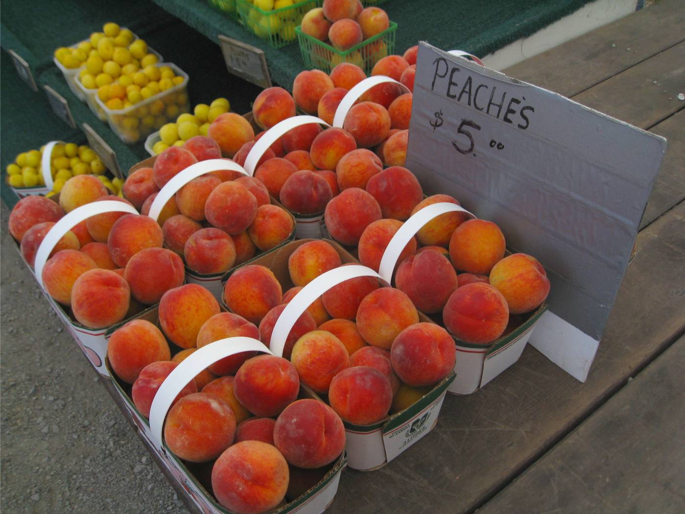 Shari's Chocolate Box: August 2011
