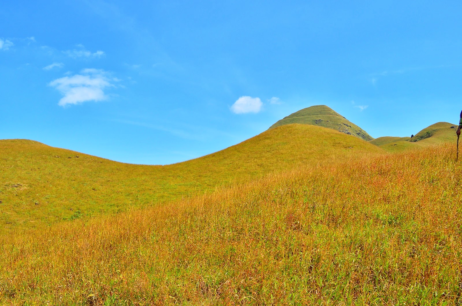 Sharath Hassan A Travelling Photographer: JENUKALLU GUDDA (JENUKAL ...