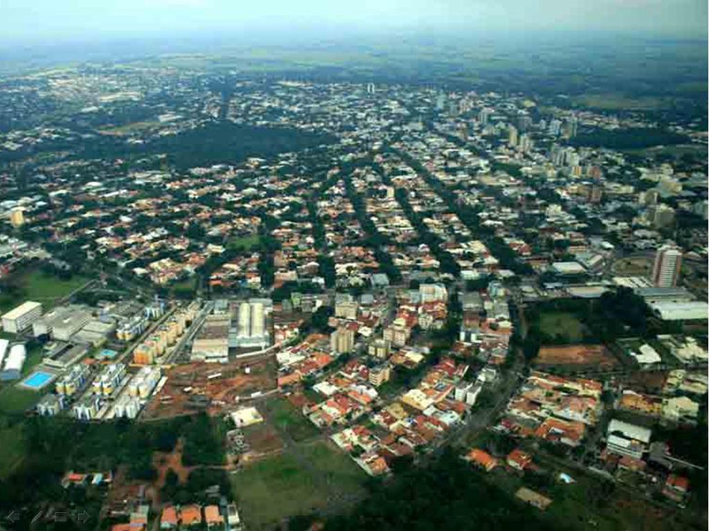 ONG ADEMA: ARBORIZAÇÃO URBANA e RURAL
