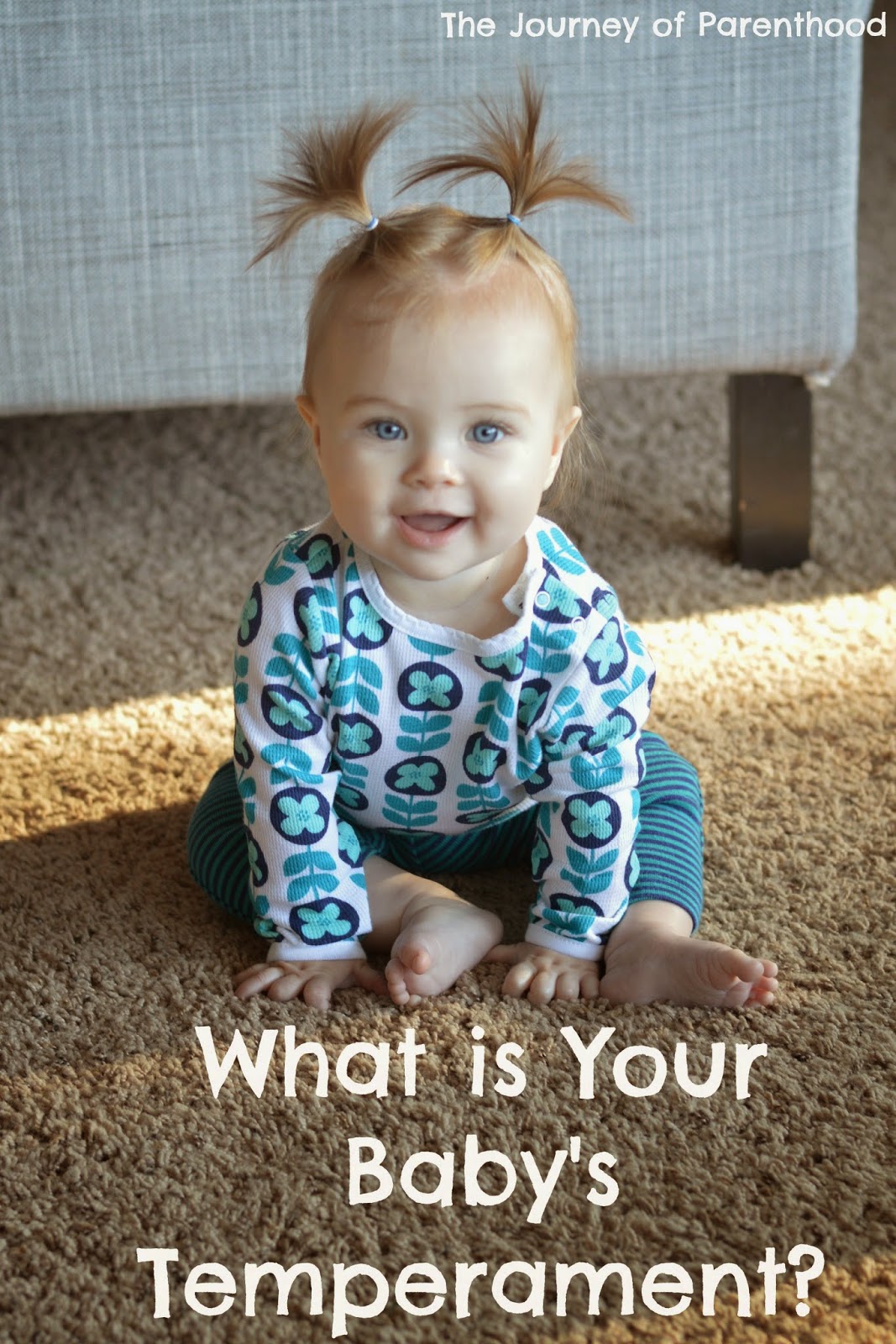 What is My Baby's Temperament? - The Journey of Parenthood...