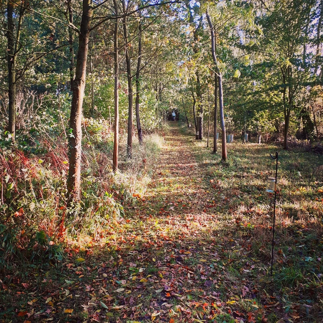 Framsden Woodland Group