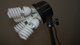 Continuous Daylight Lighting Studio Kit with Carrying Case by Emart ...