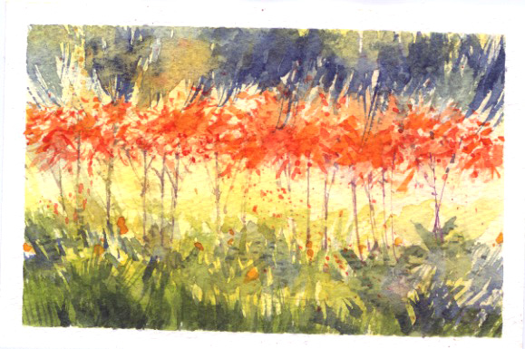 Sherry Schmidt Watercolors: 2020