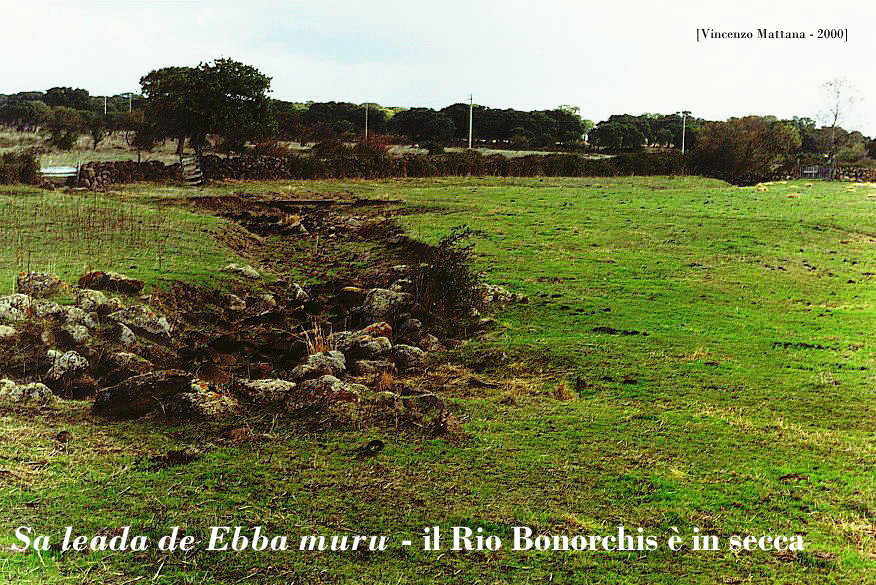 Abbasanta - le radici: 1545 - Sa cora